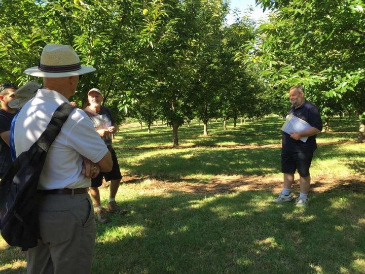 Welcome to Chestnuts Australia Inc. - Chestnuts Australia Inc